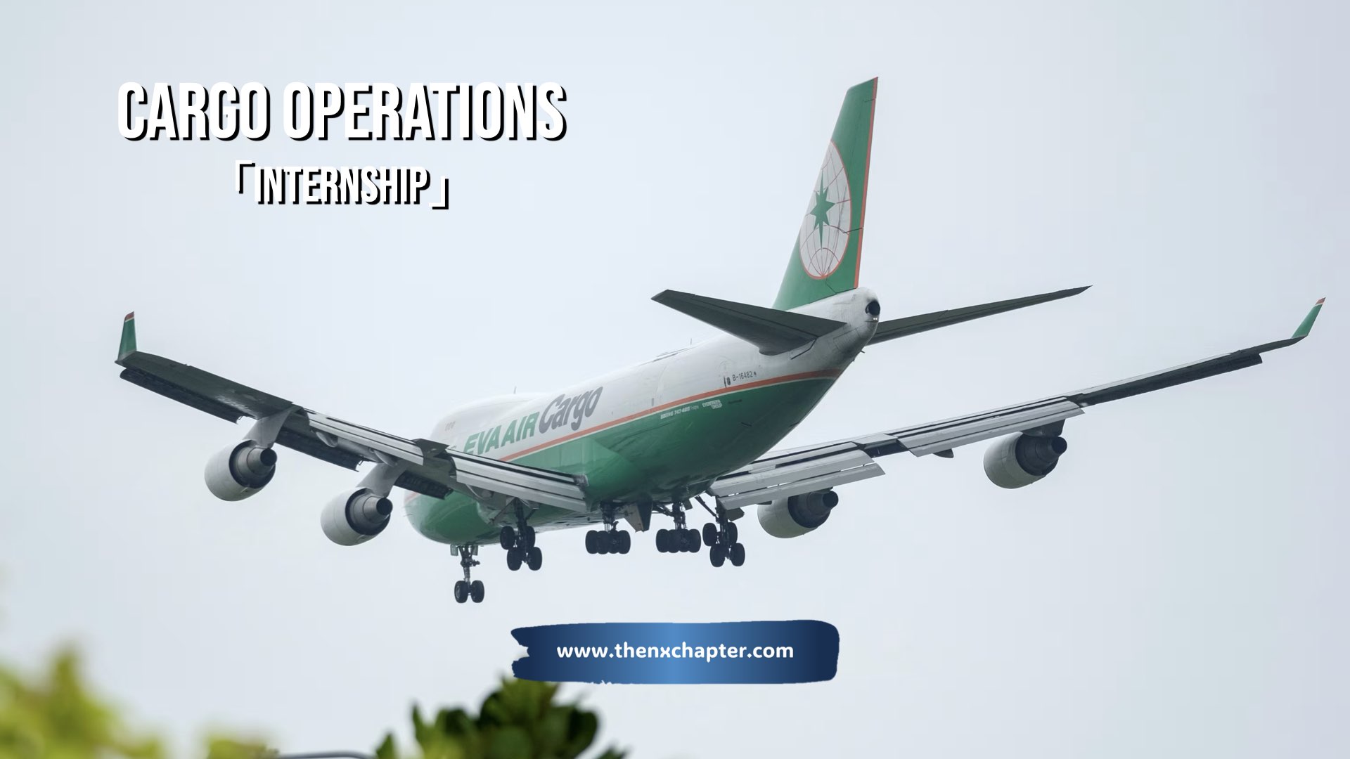 EVA AIR รับสมัคร นักศึกษาฝึกงาน Cargo Operations | The NX Chapter
